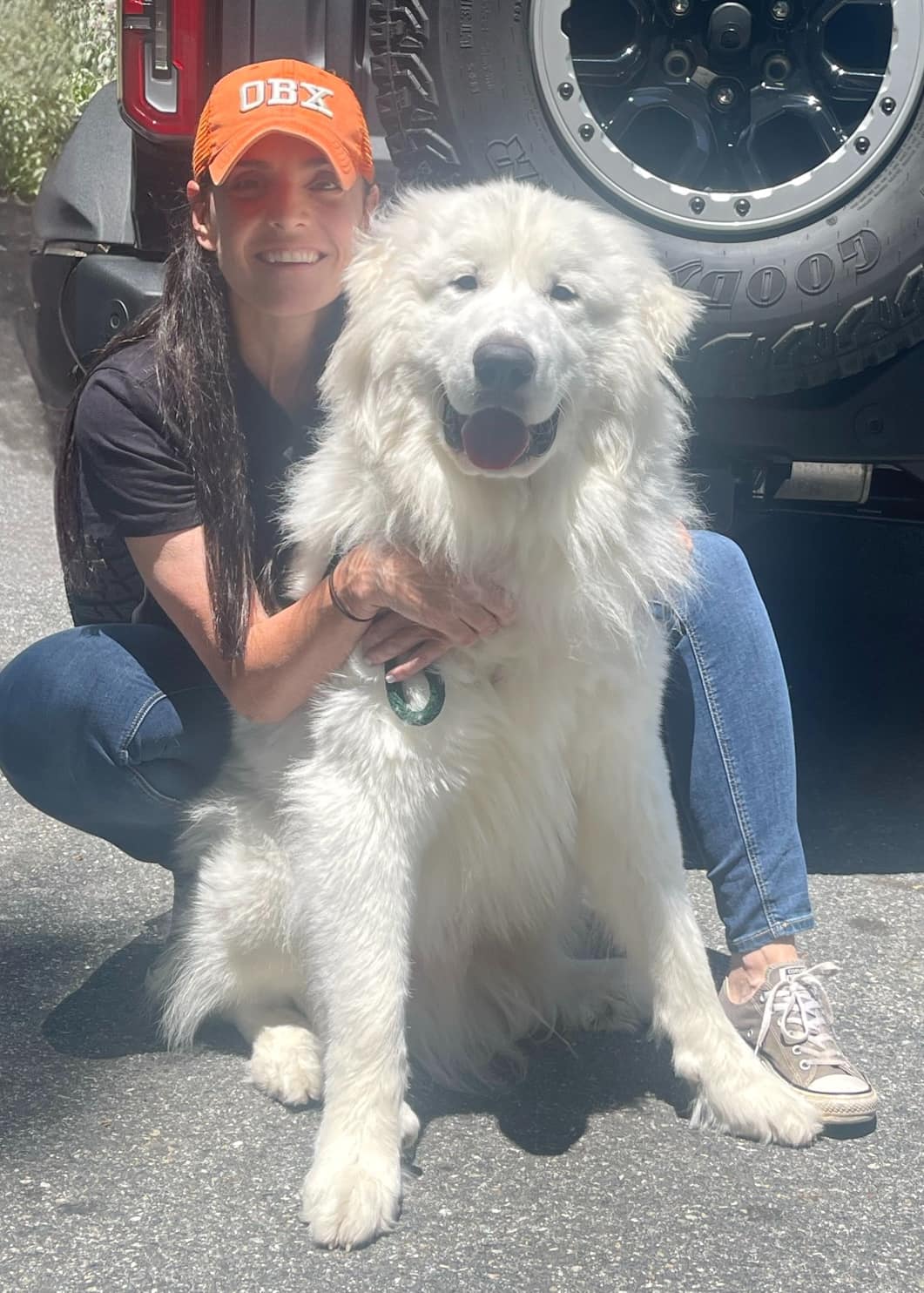 Beauregard – Buddha Dog Rescue & Recovery