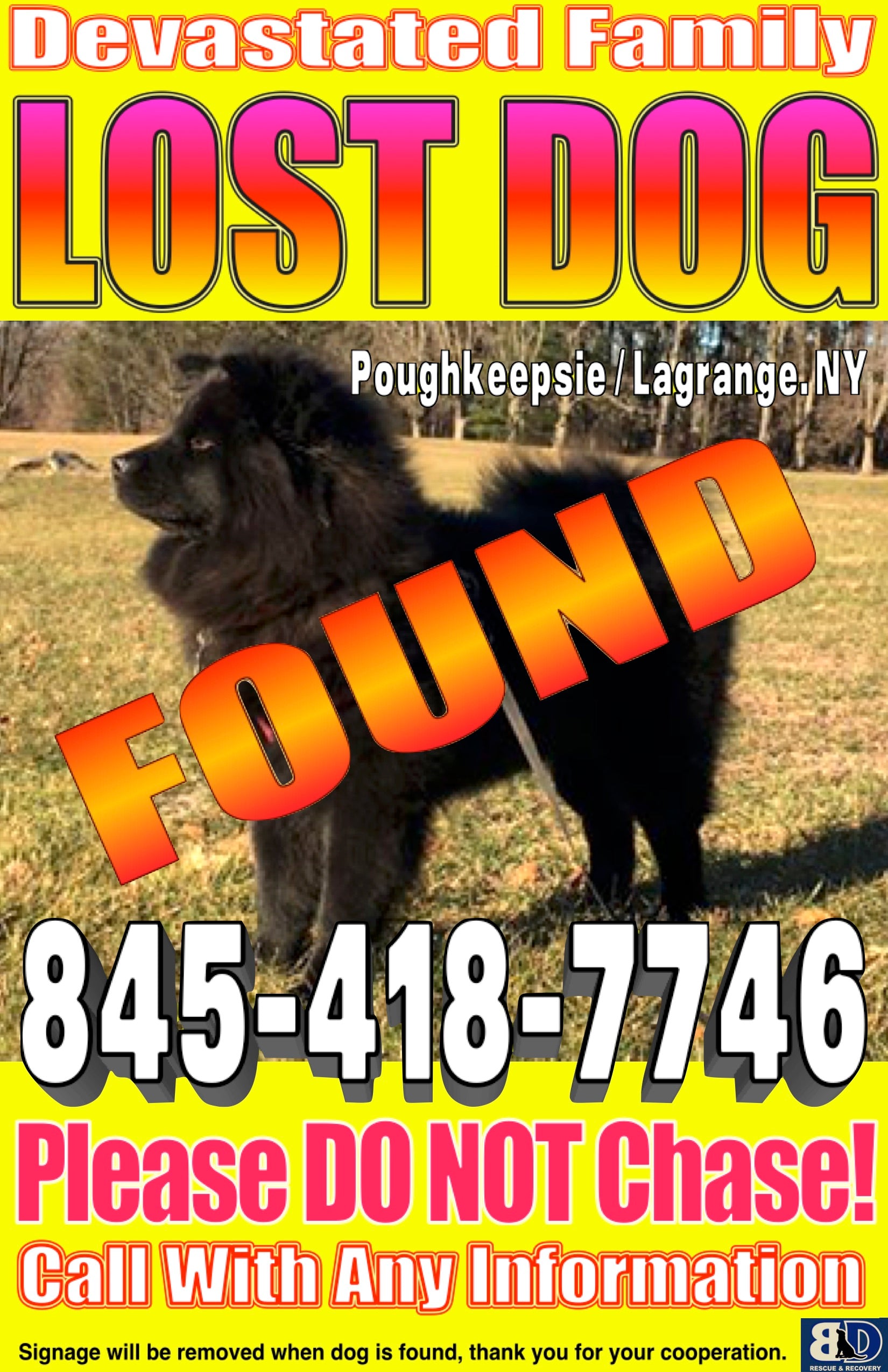 Ember – Buddha Dog Rescue & Recovery